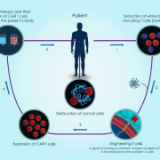 POMS Manufacturing Execution System for Life Science · MES